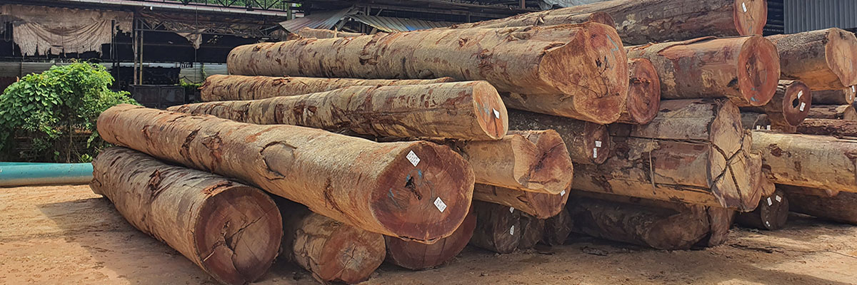 Kamwo Timber | Sawmill | Sawn Timber Supply | KEKATONG